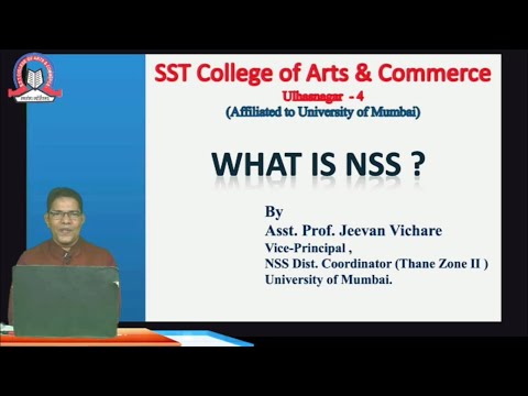 What is NSS?