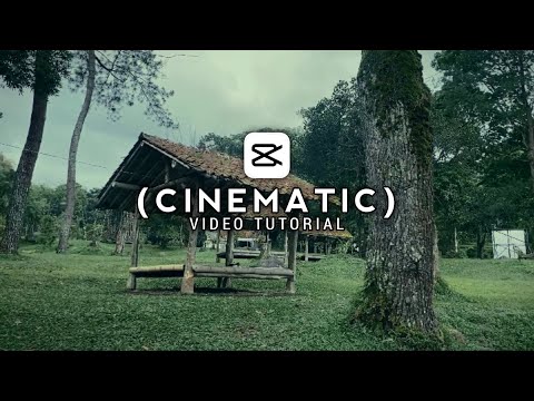 CARA EDIT VIDEO CINEMATIC DI APLIKASI CAPCUT (1 VIDEO + FILTER)