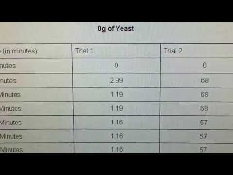 Biology Fermentation Video Lab Report.