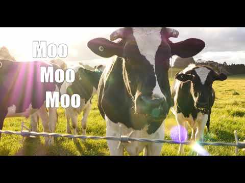 A Trip to the Farm: English ESL video lessons