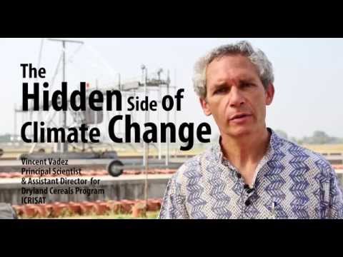 The hidden side of climate change (by Vincent Vadez, ICRISAT)