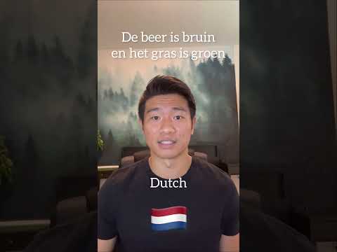 Comparing Germanic Languages “The bear is brown and the grass is green” 🧸 #shorts
