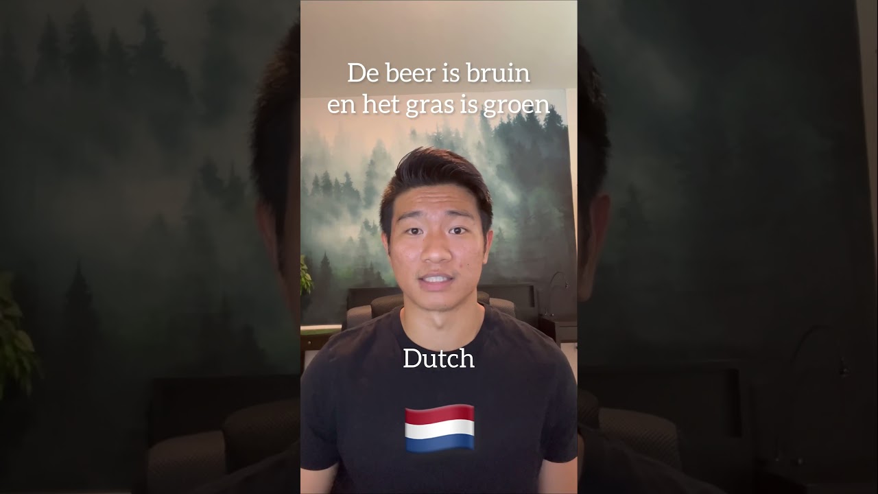 Comparing Germanic Languages “The bear is brown and the grass is green” 🧸 #shorts