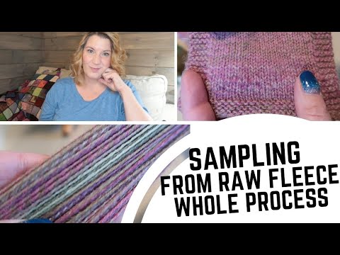 Soxtravaganza Breed Study Sock Extension Southdown! I Tested EVERYTHING Again!