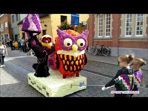 56ste Bloemenstoet Wommelgem 17/09/2017