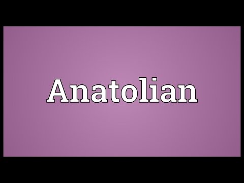 Anatolian Meaning
