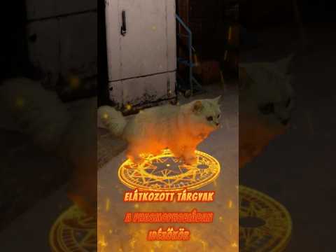 Idézőkör – Phasmodex