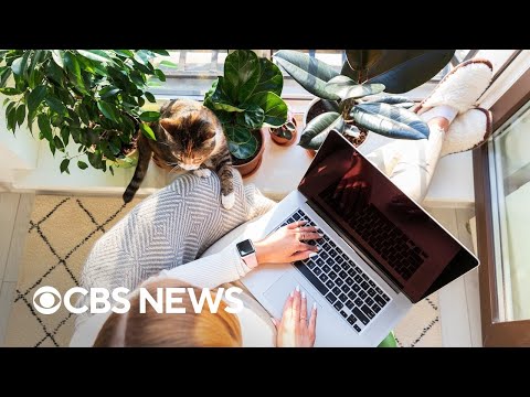 Remote jobs remain in high demand across the U.S.