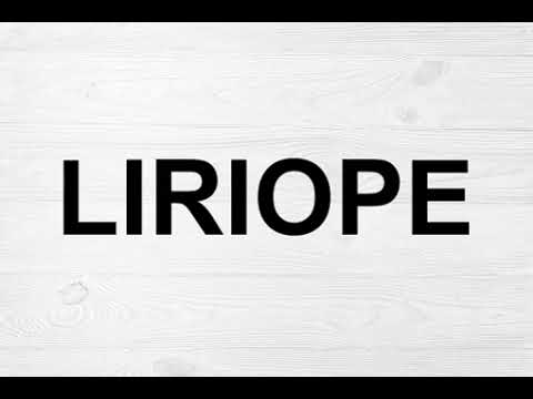 How To Pronounce Liriope