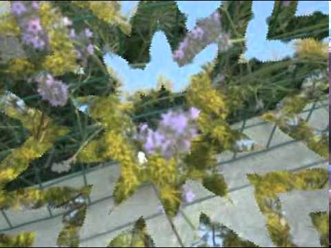Grateful Dead - Ship of fools