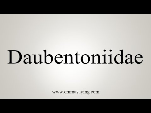 How To Say Daubentoniidae