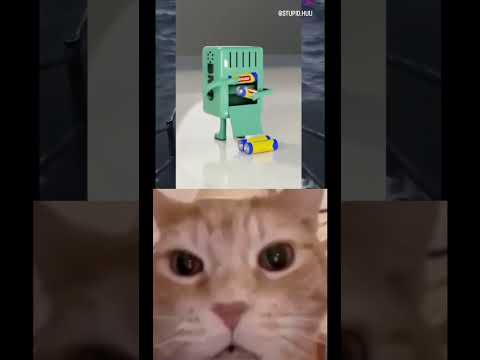 cat laughing meme #adventuretime
