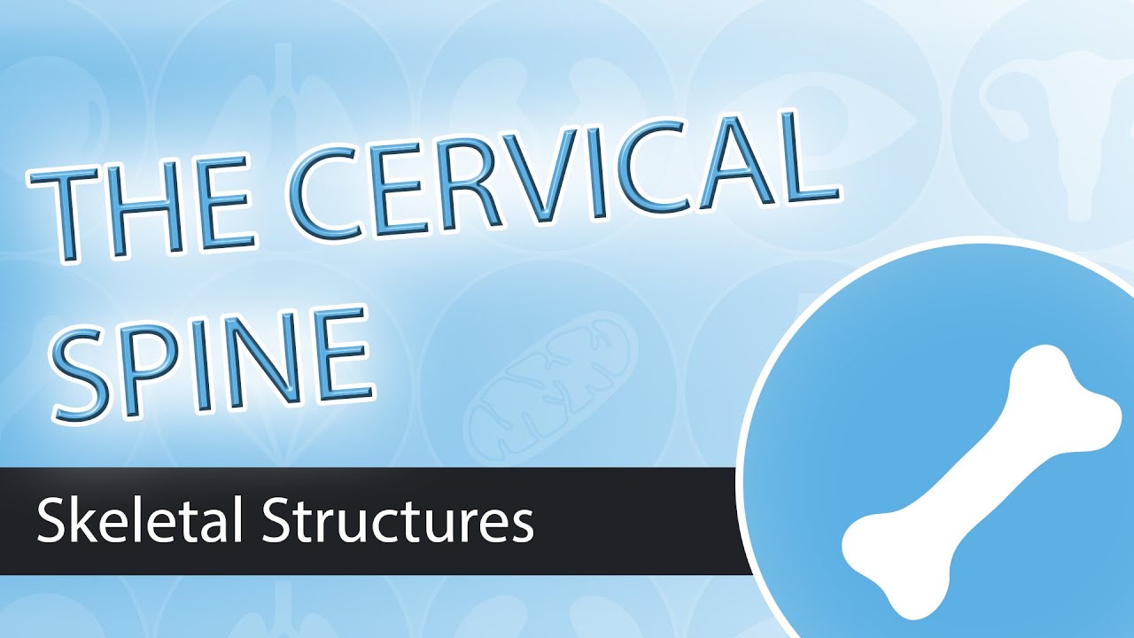 Skeletal Structures- The Cervical Spine