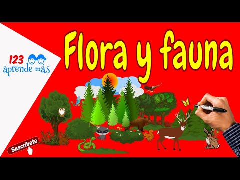 FLORA y FAUNA para niños de primaria. 🐼🍃🌸🌳🐇