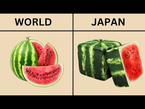 Top 7 Interesting Facts About Japan | Facts By AK