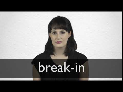 BREAK IN 释义 | 柯林斯英语词典