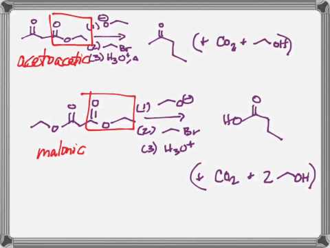 comparison of malonic and acetoacetic ester syntheses