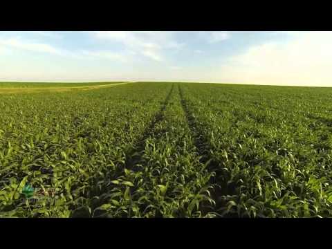 Iron Talk #849 - Tram Lines (Air Date 7/13/14)