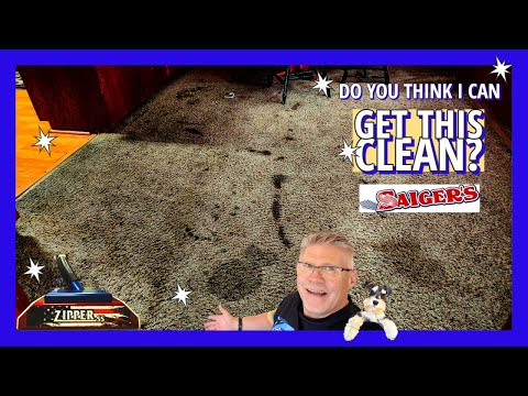 How many think I CANNOT get these TRASHED Carpets Clean?