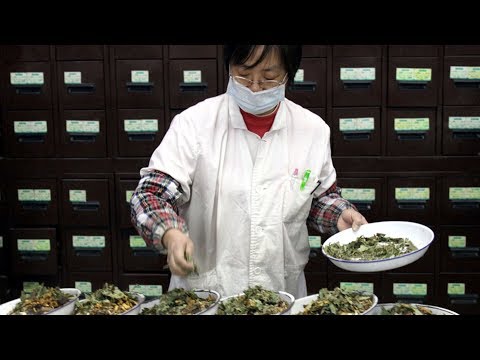 The Point: How can Traditional Chinese Medicine work in the West?