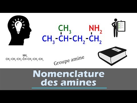 Nomenclature des amines - chimie organique
