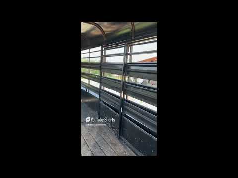 DUAL AXLE LIVESTOCK TRAILER  For Sale