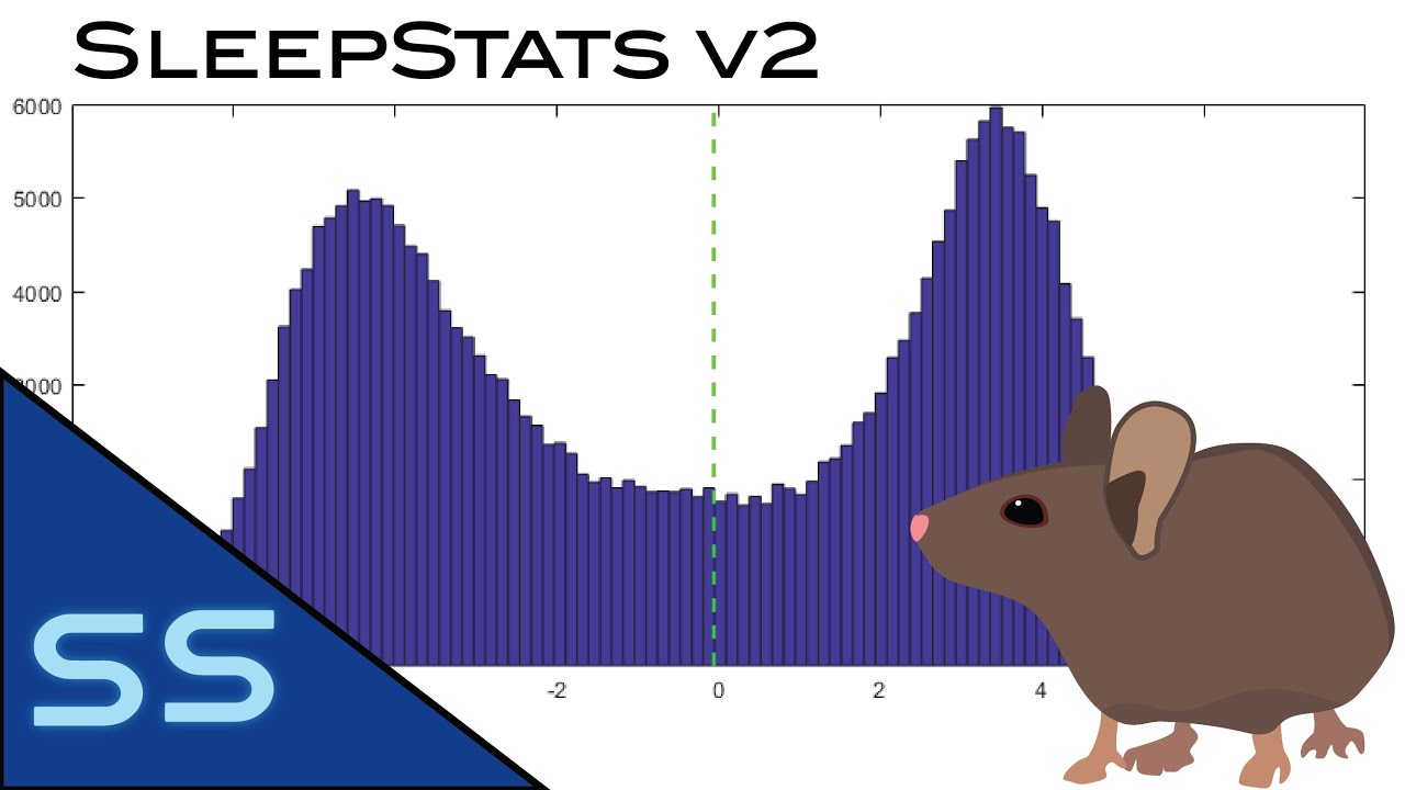 SleepStats v2 Functions and Bout Length Computation