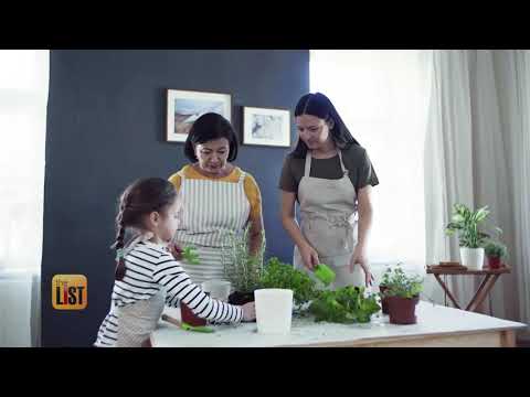 The Benefits of Plant Therapy