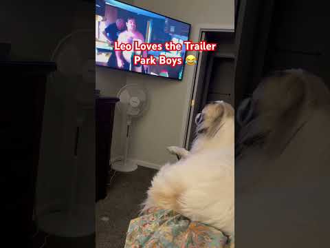 Leo loves the Trailer Park Boys 😂