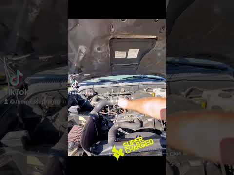 Let er rip tatter chip (Toyota Fo runner)