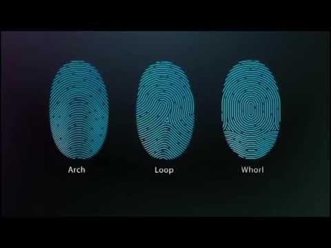 Every type of Smartphone fingerprint scanner explained.