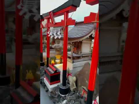 In Japan we have the Anamori Inari shrine & Jinja means Shrine #shorts