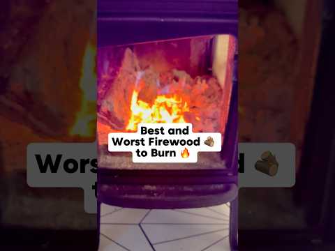 Best and Worst Firewood to Burn #shorts #firewood #woodstove #wood #fireplace #firepit #trees