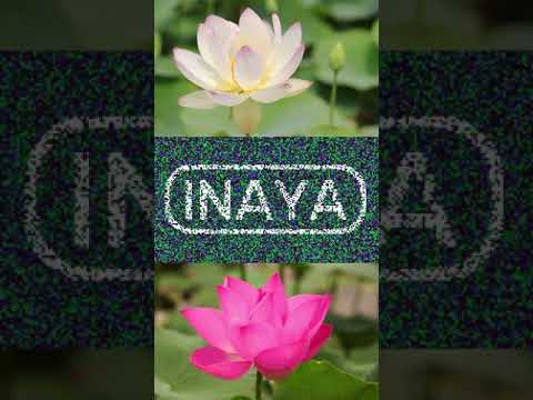 🌷 INAYA 🌷 | INAYA Lotus Status | INAYA - Peace