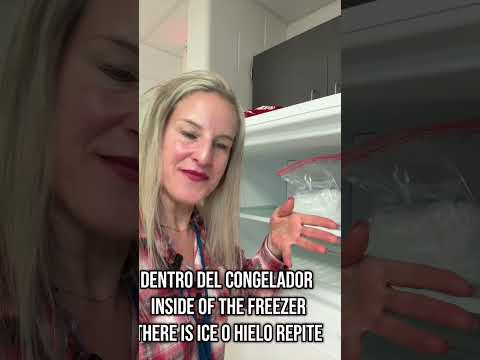 The Freezer- El Congelador #learnenglish #learnspanish