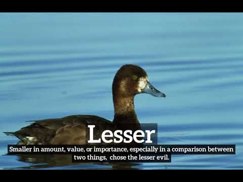 What is Lesser? | How Does Lesser Look? | How to Say Lesser in English?