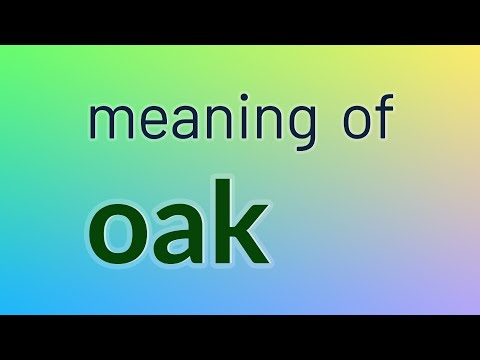 Oak - 55 English Vocabulary Flashcards