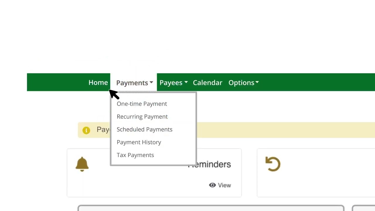 Business Bill Pay - Overview
