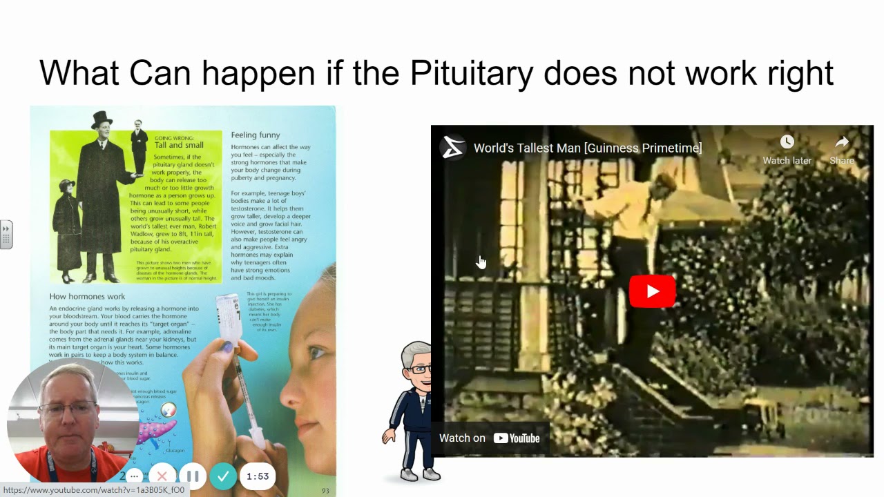 5th Grade Health   Week 14   Body Changes during puberty   Google Slides