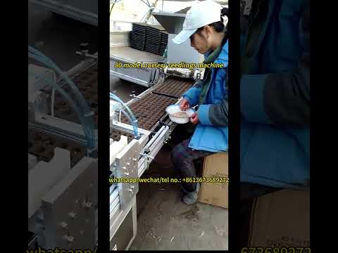 Plug seedling machine for seed sowing: how does nursery seeding machine work? Automatic tray seeder