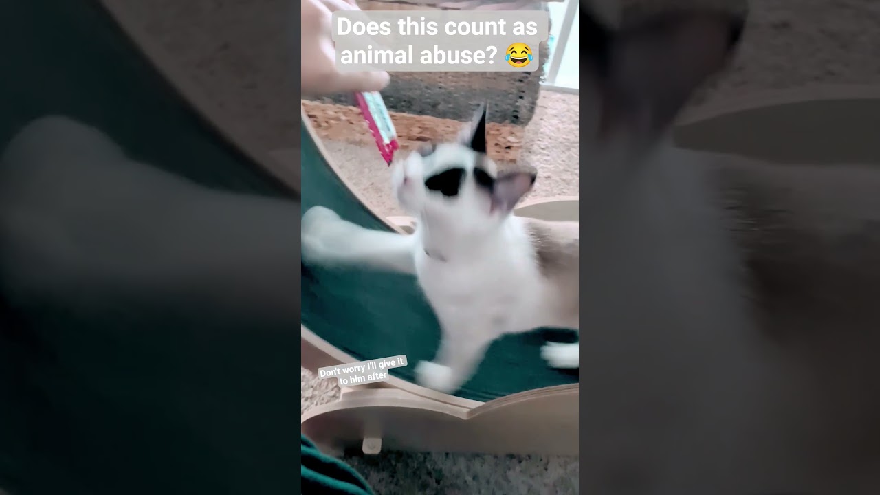 does this count? 😂