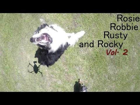 Steam Community :: Video :: Rosie Robbie Rusty and Rocky Volume 2