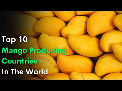 Top 10 Biggest Mango Producing Countries In The World | Top Mango Producing Countries | Info A 2 Z