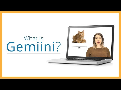 ANNOUNCEMENT: GEMIINI SYSTEMS IS A SOLUTION FOR SCHOOLS AND FAMILIES!!!! GO TO gemiini.org