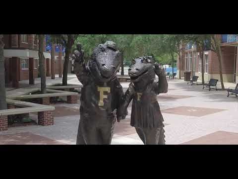 GAINESVILLE HYPE | THE UNIVERSITY OF FLORIDA GATORS | GAINESVILLE, FL