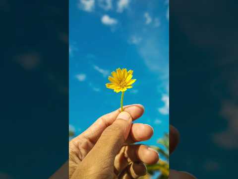 Sangathil paadatha kavithai... #shorts #trending #tamilsong #status #viral #youtube #photography