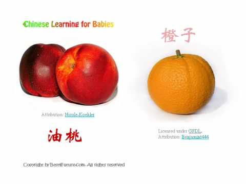 Learn Chinese: How to say olive, onion, nectarine and orange in Chinese?