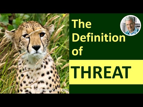The Meaning & Definition of THREAT (3 Illustrated Examples)