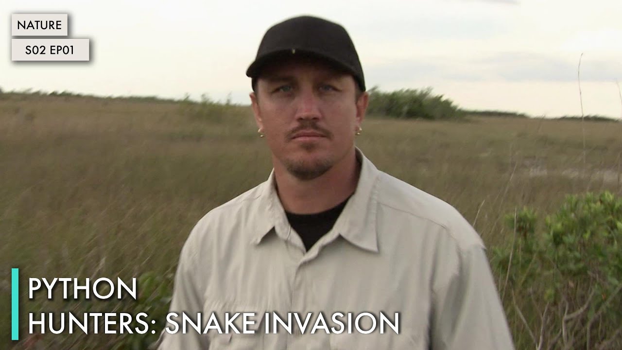 Python Hunters: Snake Invasion