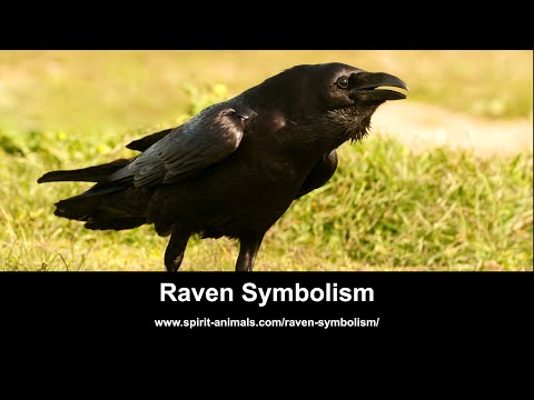 Raven Symbolism